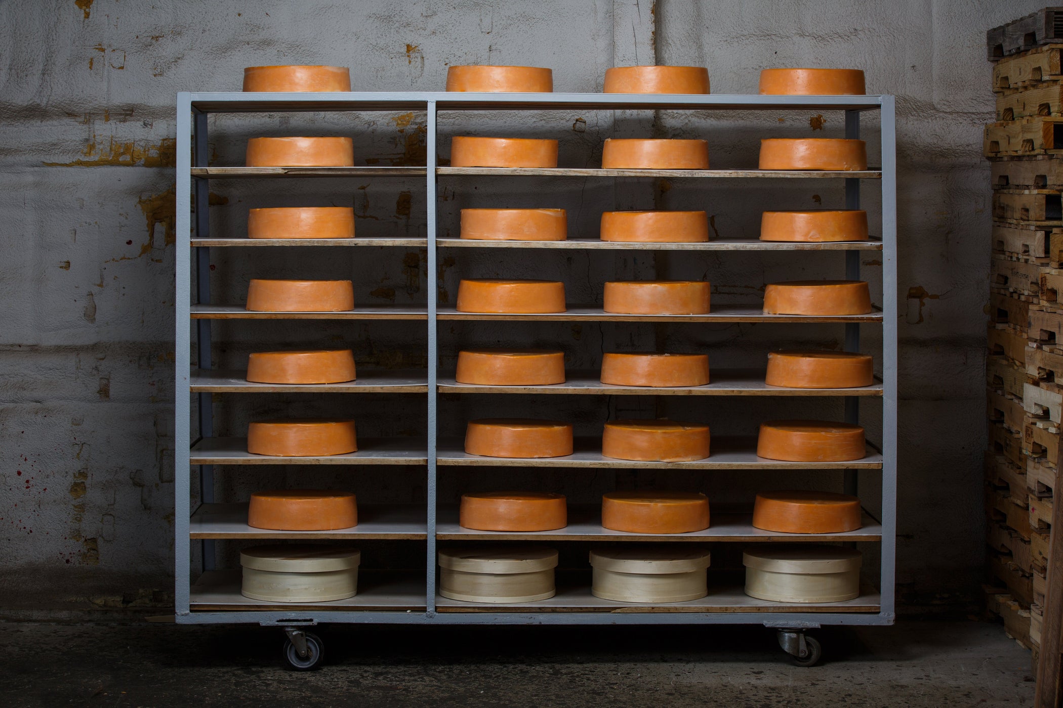 A Beginner's Guide to Aging Cheese – Renard's Cheese